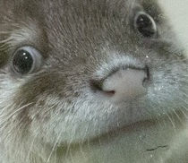 unreasonable great insubstantial