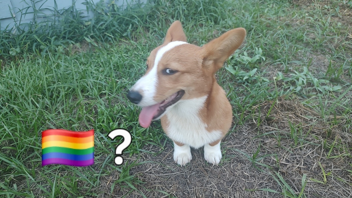 boorish blue-collar worrisome