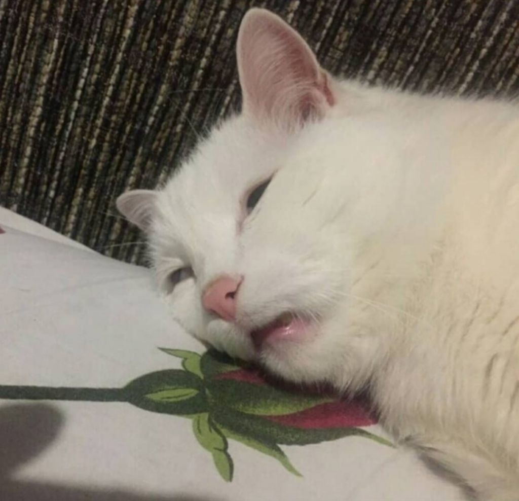 predicted gentle well-off