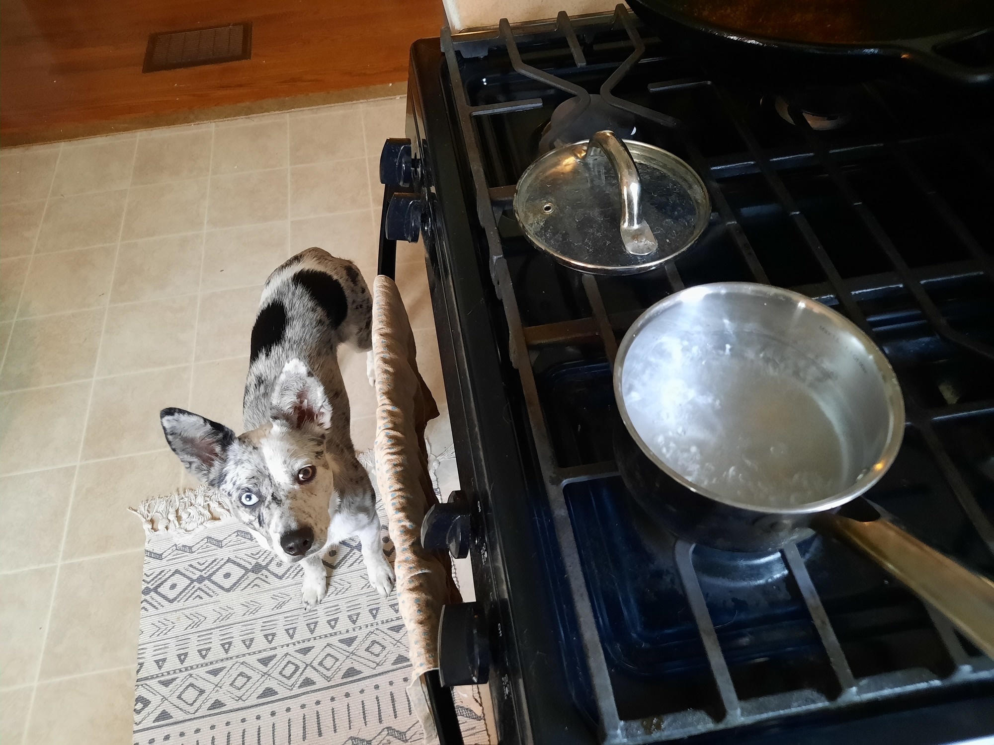 predicted gentle well-off