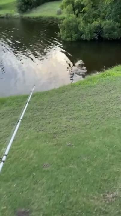 average florida experience