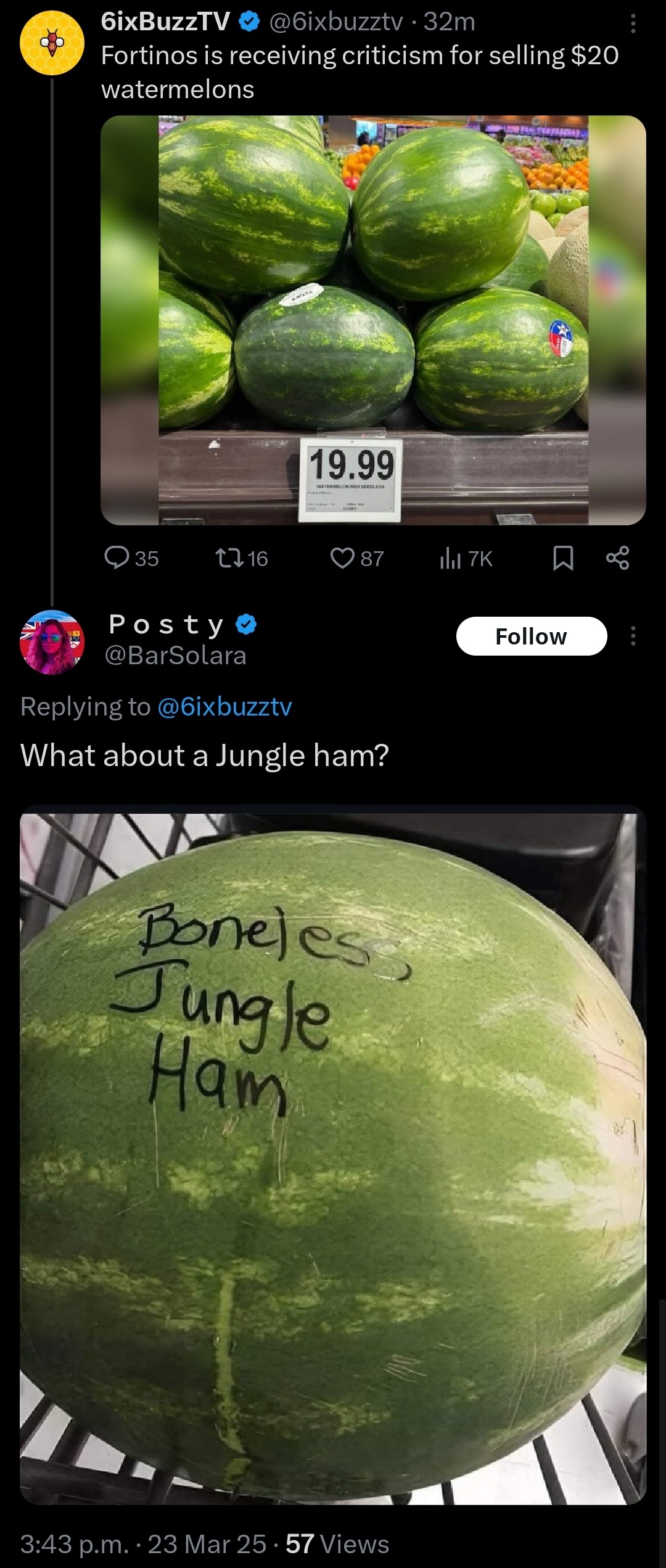 conceptual feathered executable