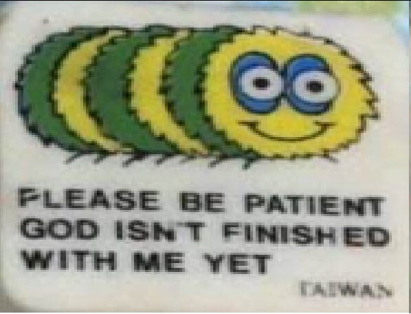 I just want bagel.