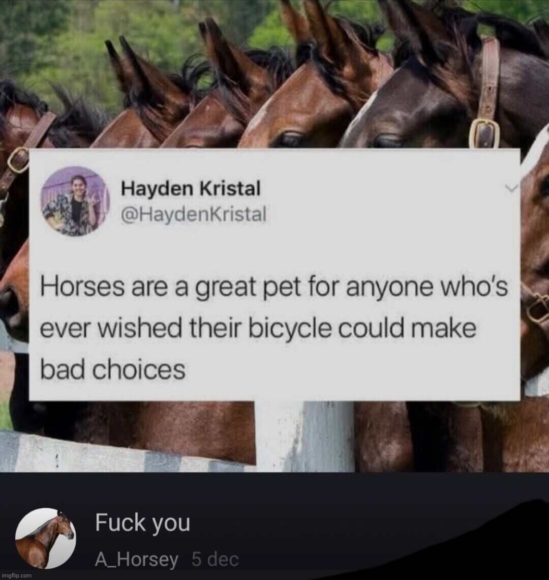 intolerant firmer merry