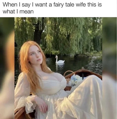 Looks for glass slipper/tall tower