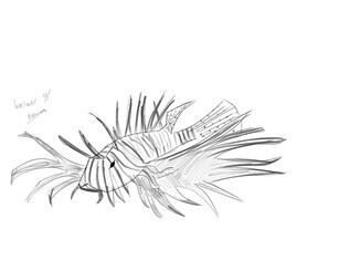 A doodle after failing to draw a face for 40 minutes